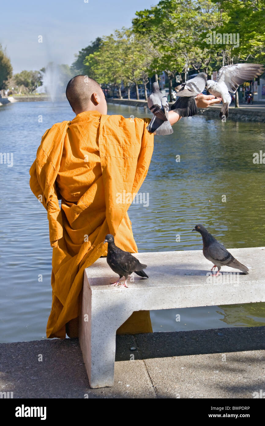 Buddhist monk feeding pigeons Stock Photo - Alamy
