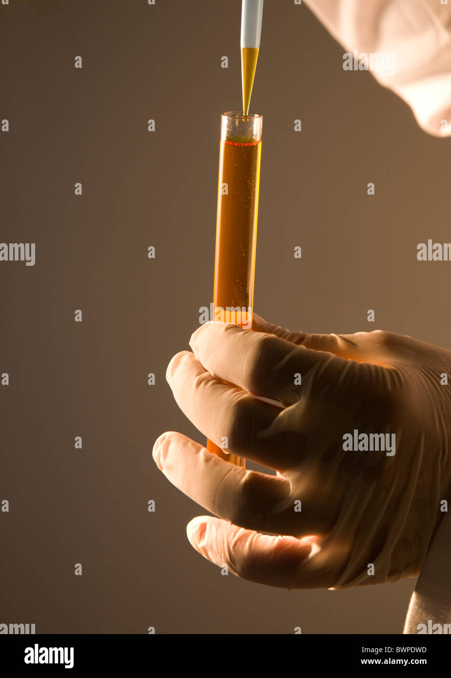 Lab tub hi-res stock photography and images - Alamy