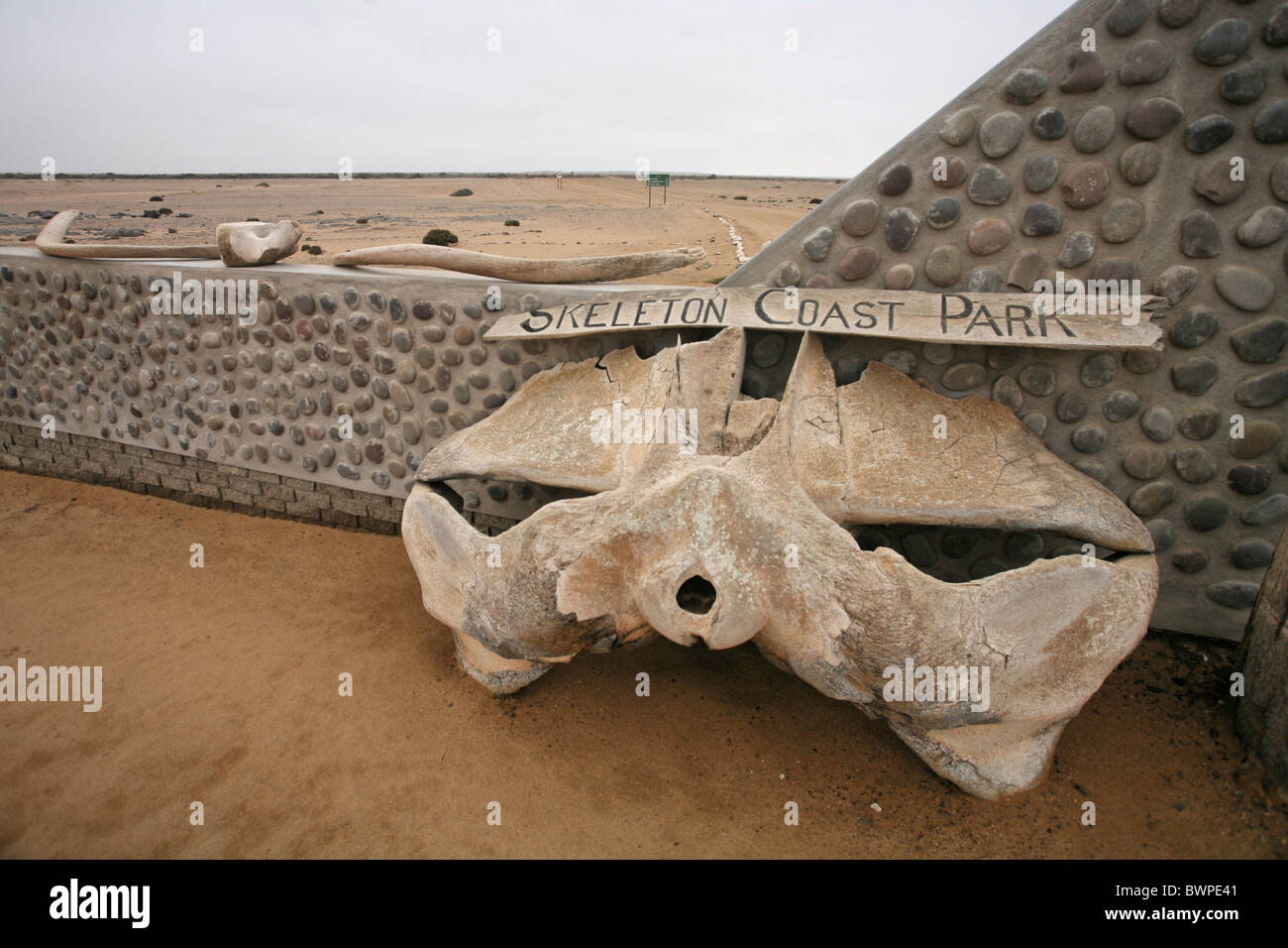 Animal bones africa hi-res stock photography and images - Alamy