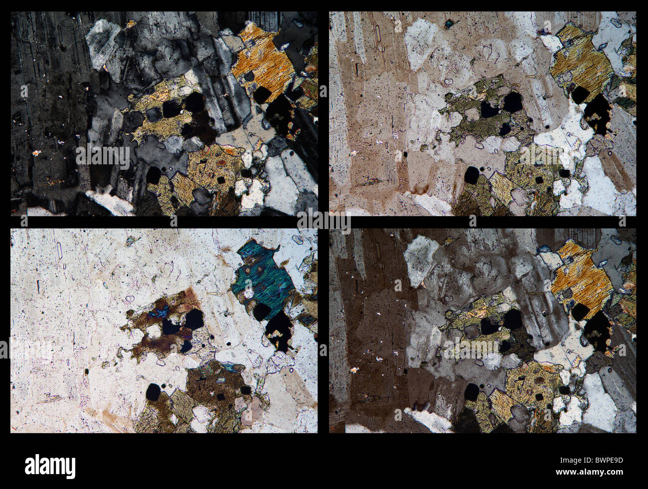 Tonalite, Plain and Cross Polarised Microscope Images Stock Photo - Alamy