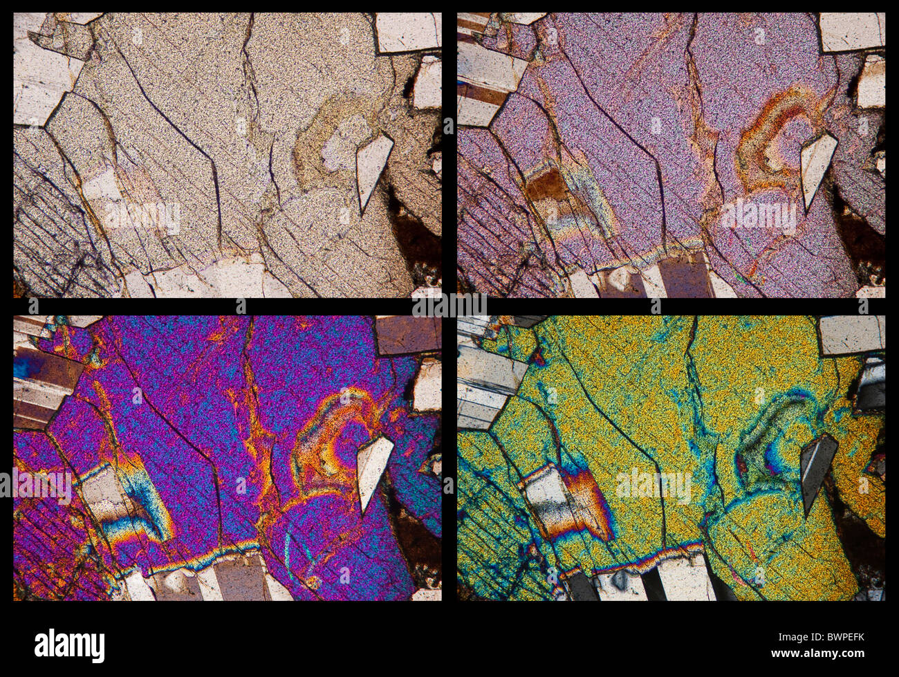 Vent Dolerite, Plain and Cross Polarised Microscope Images Stock Photo ...