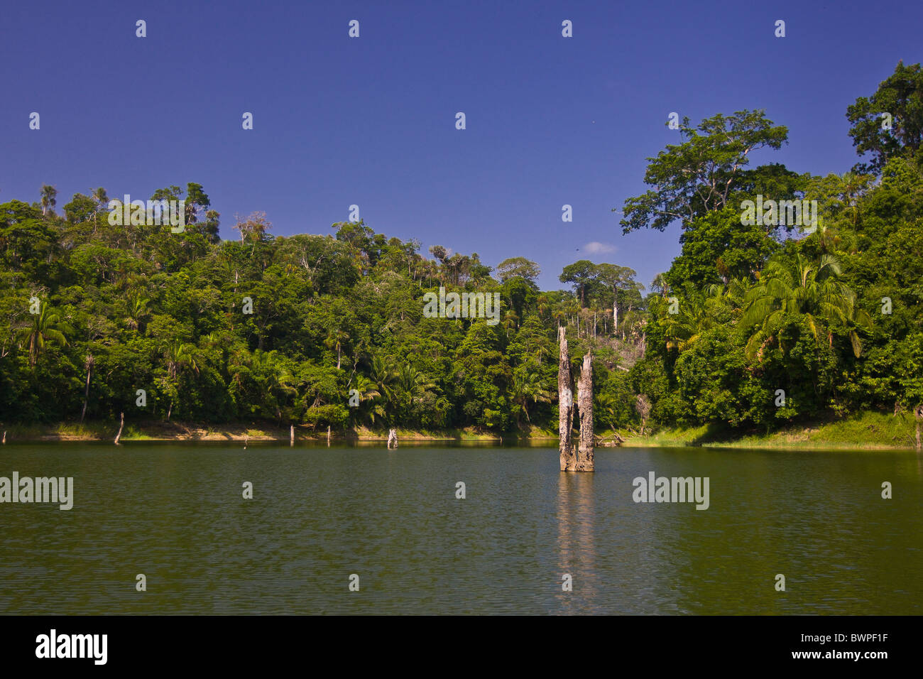 LAKE BAYANO, PANAMA - Man-made reservoir Lake Bayano, Comarca Kuna de ...