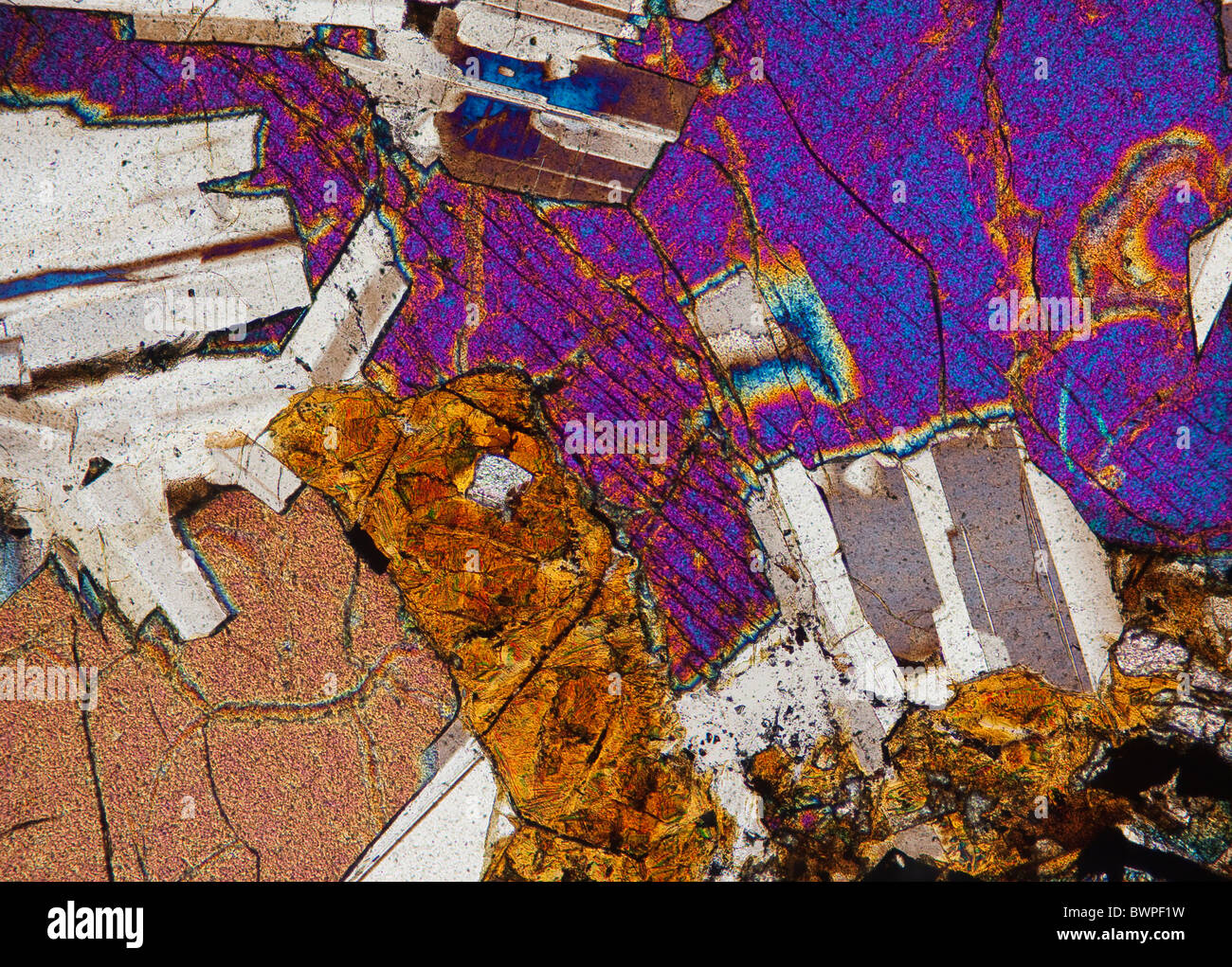 Vent Dolerite, Cross Polarised Microscope Image Stock Photo - Alamy
