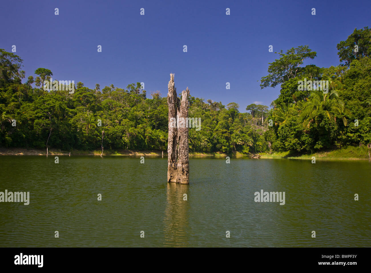 LAKE BAYANO, PANAMA - Man-made reservoir Lake Bayano, Comarca Kuna de ...
