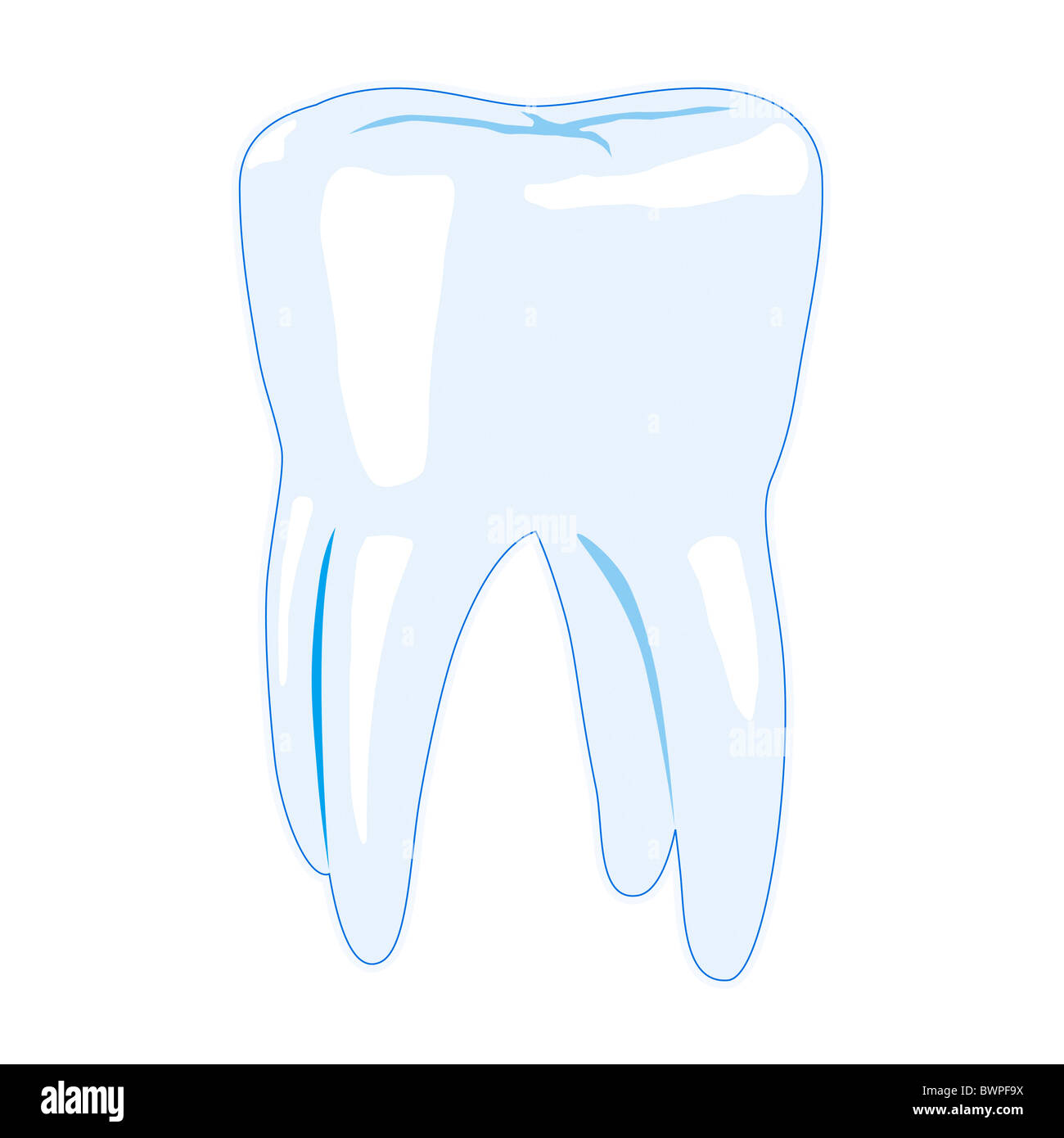 Isolated white tooth vector logo hi-res stock photography and images ...