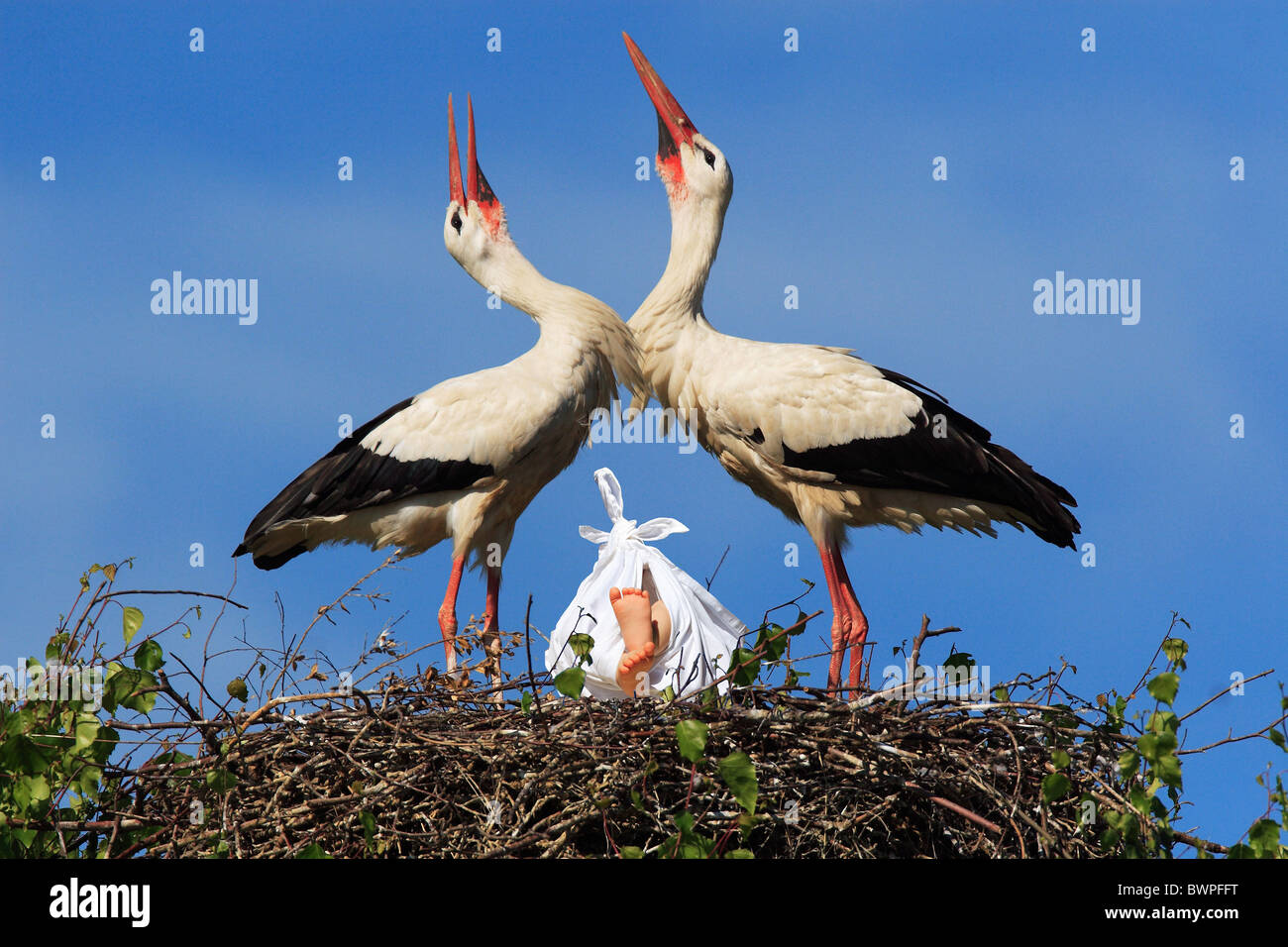 10832599 hi-res stock photography and images - Alamy