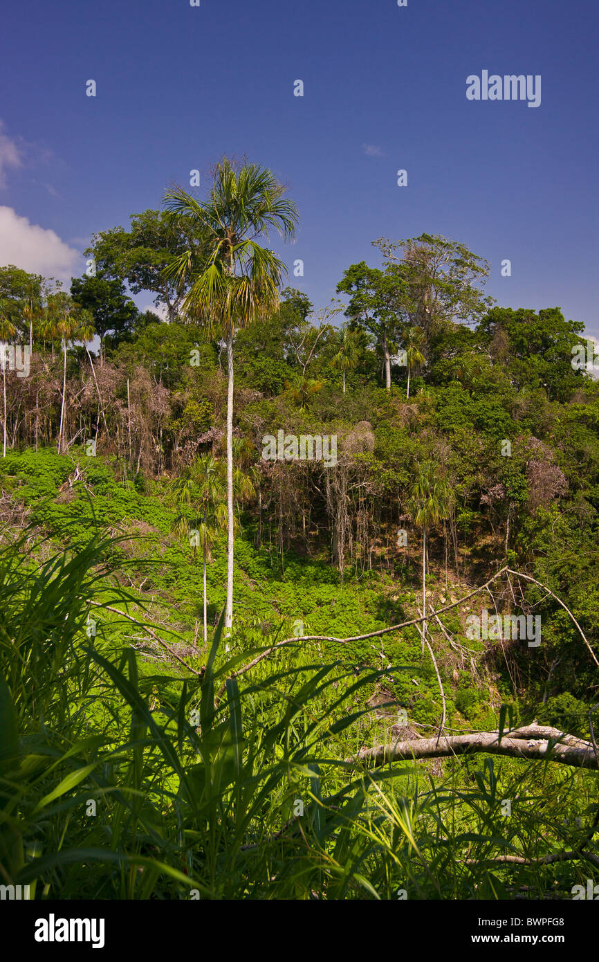 LAKE BAYANO, PANAMA - Comarca Kuna de Madungandi indigenous territory ...