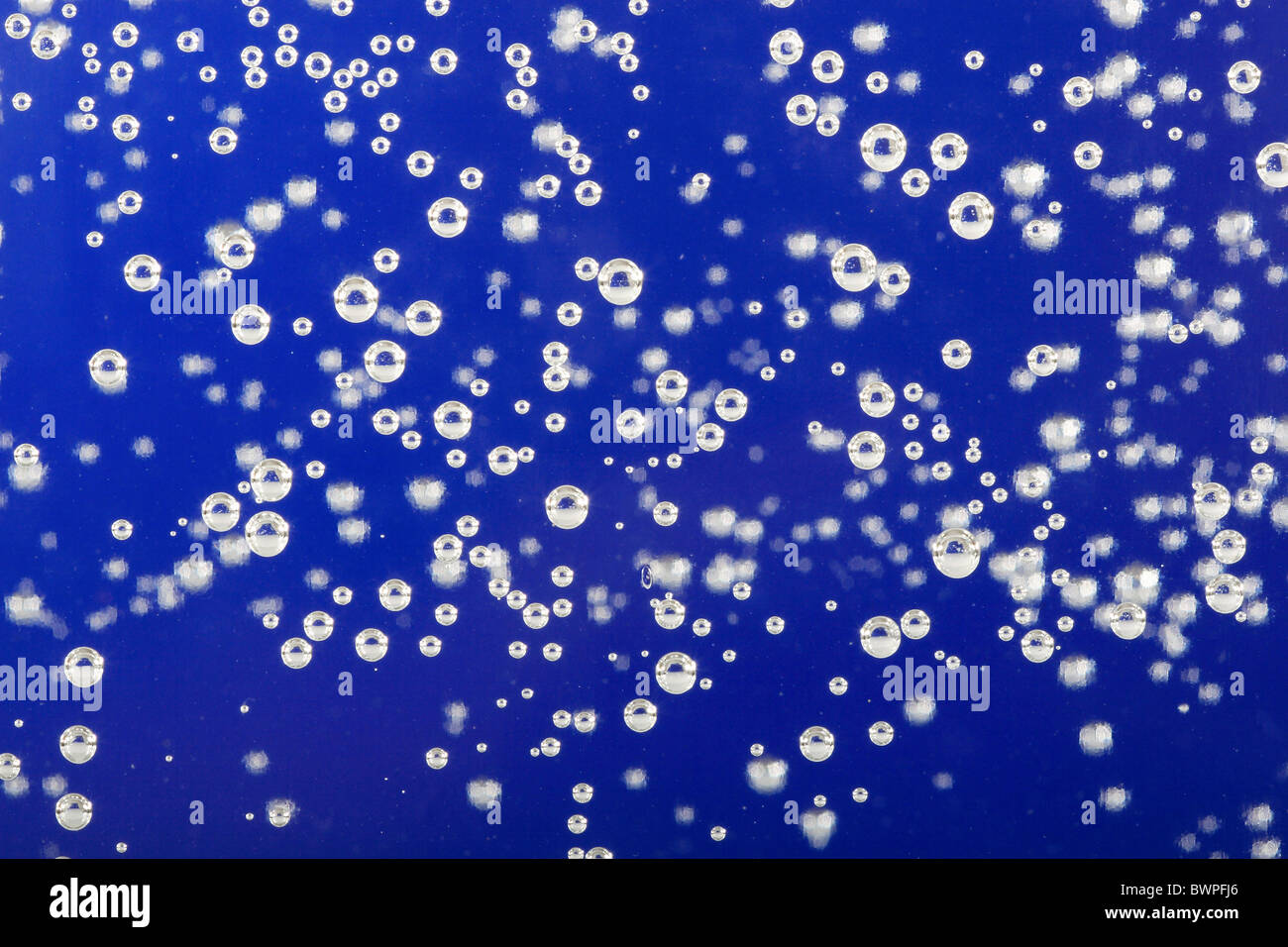 Water Bubbles Bubble Studio Concept refreshing carbonated sparkling ...