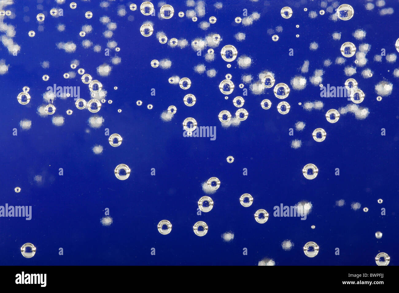 Water Bubbles Bubble Studio Concept refreshing carbonated sparkling ...