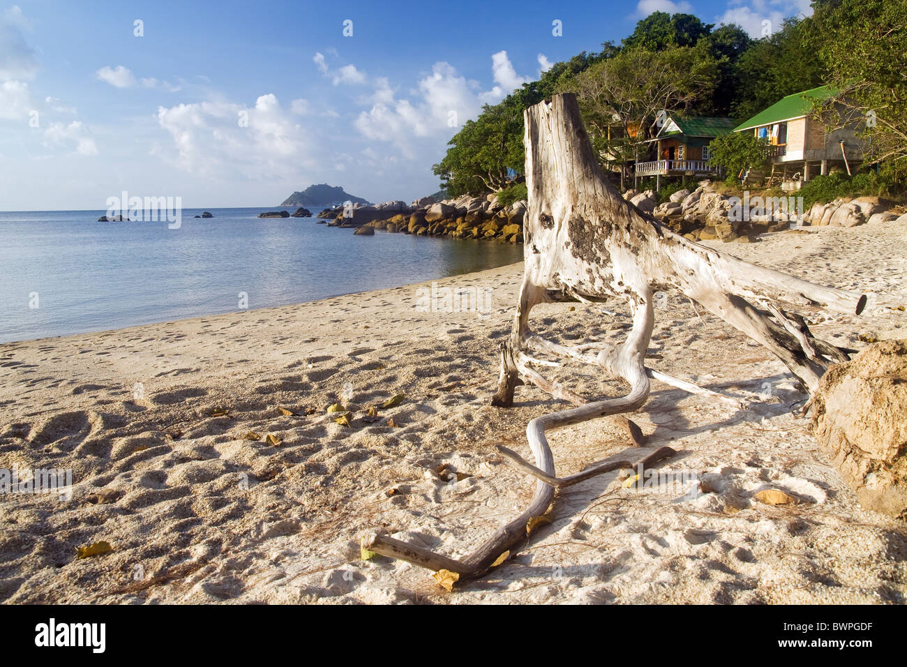 beach on Turtle Island Stock Photo - Alamy