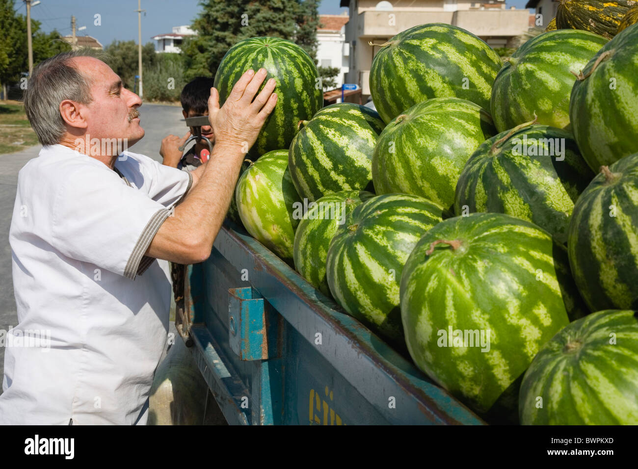 TURKEY Aydin Province Kusadasi Unloading fresh, striped green ...