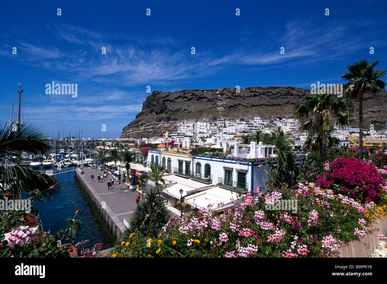 10840721 hi-res stock photography and images - Alamy