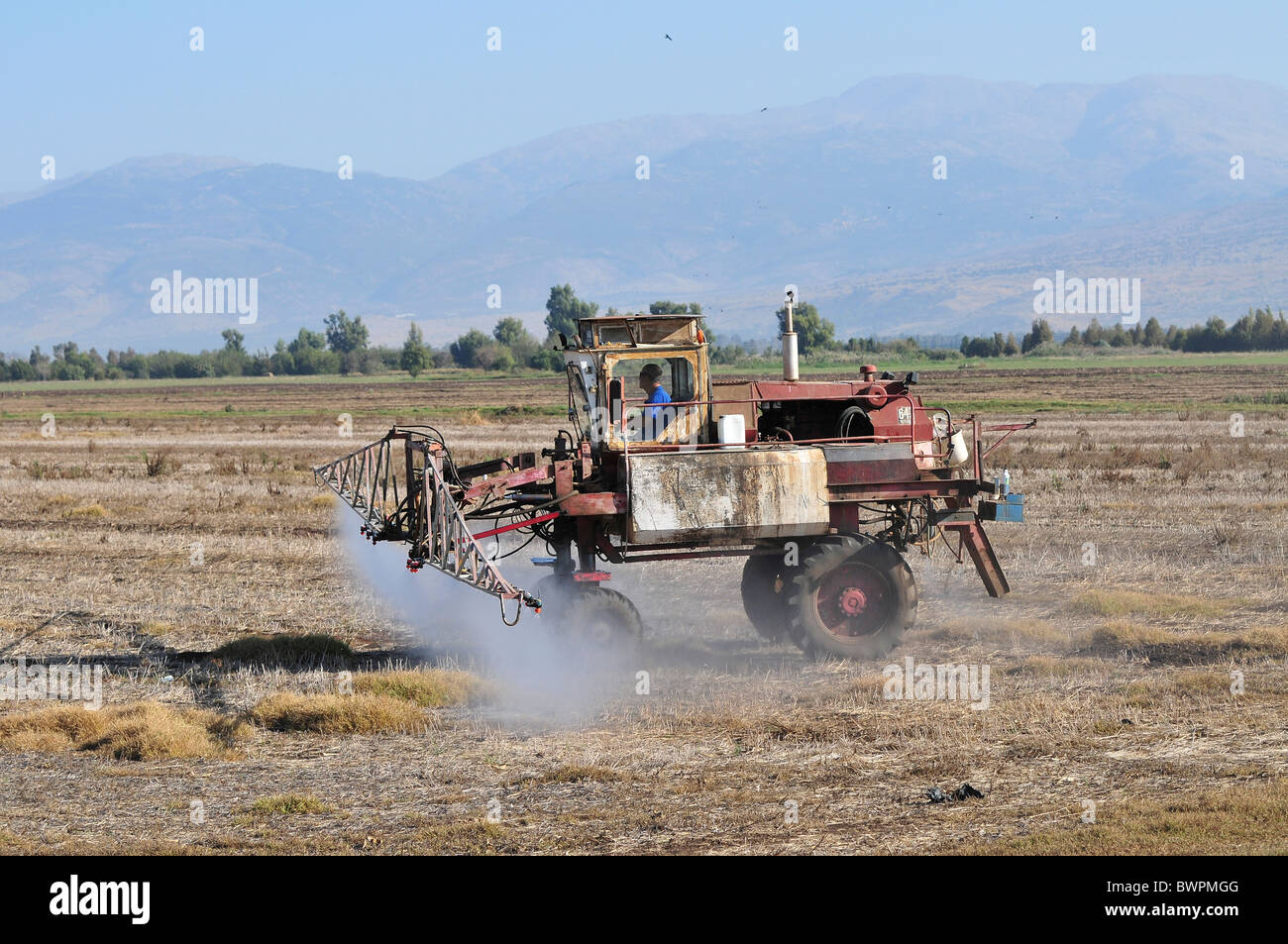 Israel, Hula Valley, Tractor spreads fertilizer before ploughing the ...