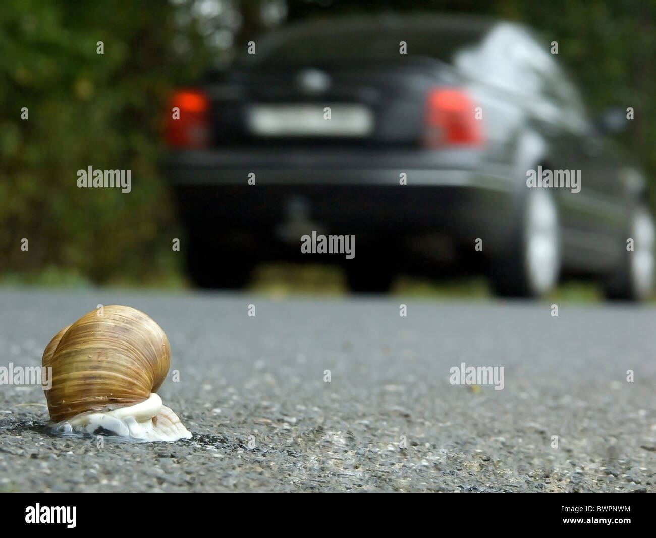 Car snail road hi-res stock photography and images - Alamy