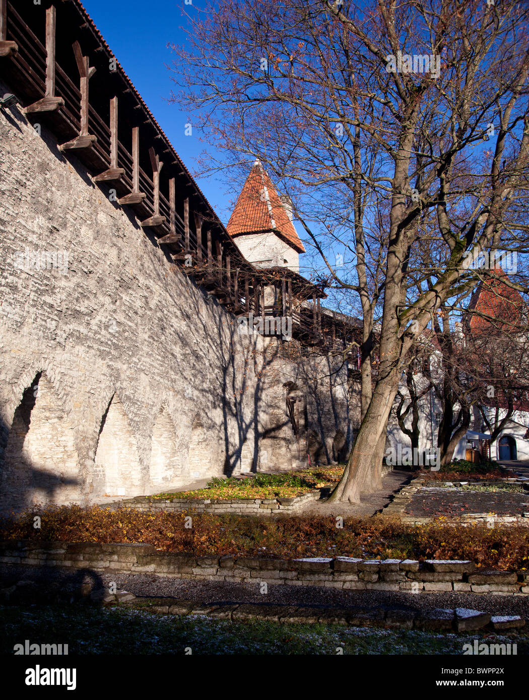 Town wall of Tallinn in Estonia in winter with small garden below the ...