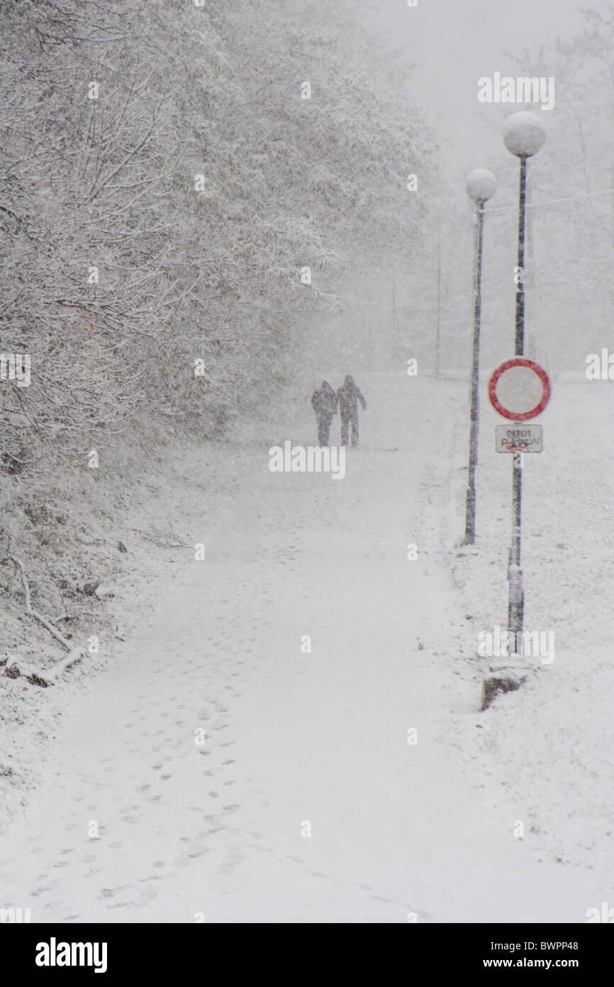 in the snowfall Stock Photo - Alamy