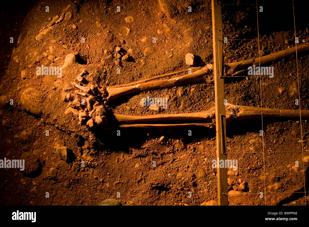 Necropolis ancient graveyard hi-res stock photography and images - Alamy