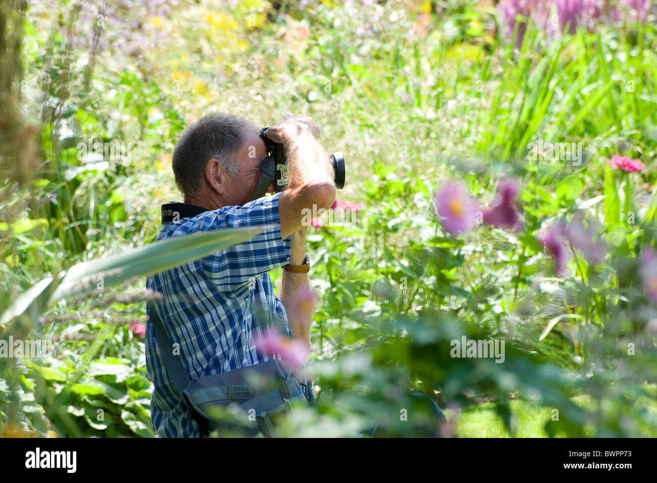Photographing garden hi-res stock photography and images - Alamy