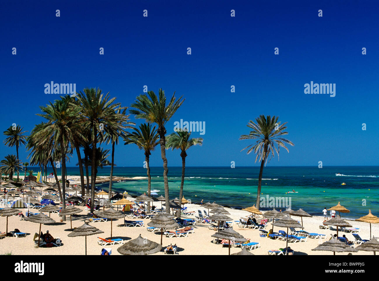 Tunisia Djerba island Zarzis Oasis Africa North Africa Mediterranean ...