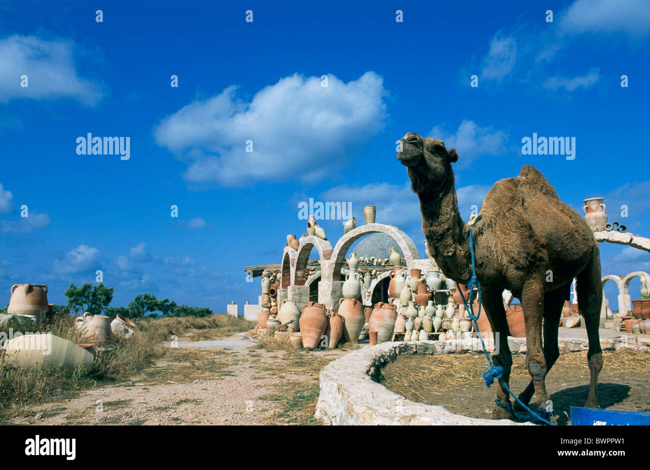 Tunisia Djerba island pottery village of Guellala Africa North Africa ...