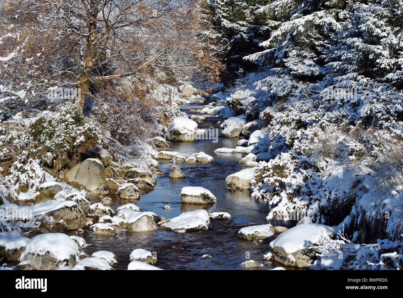 Wonderland winter photo and image hi-res stock photography and images ...