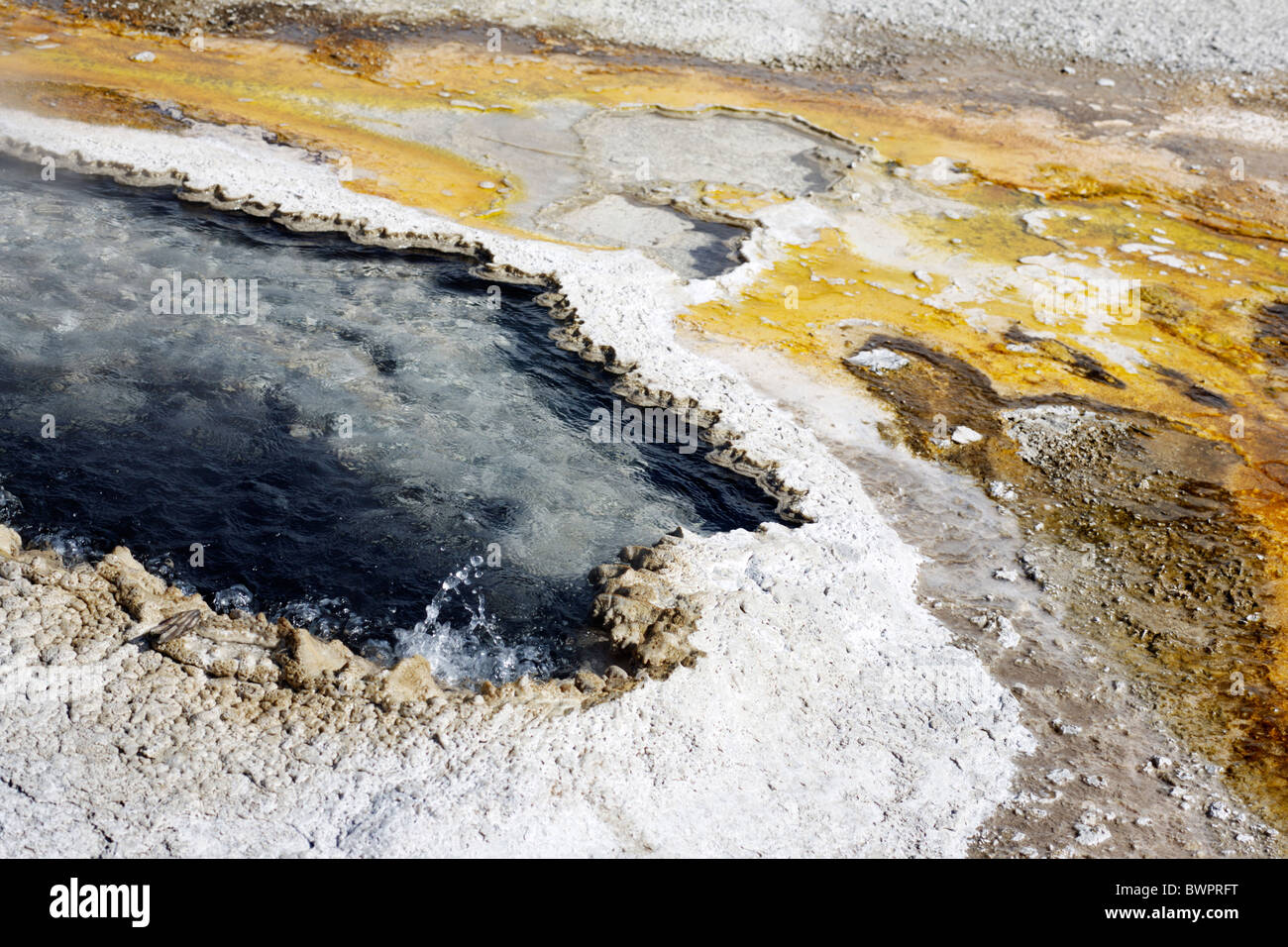 Yellowstone ear spring hi-res stock photography and images - Alamy