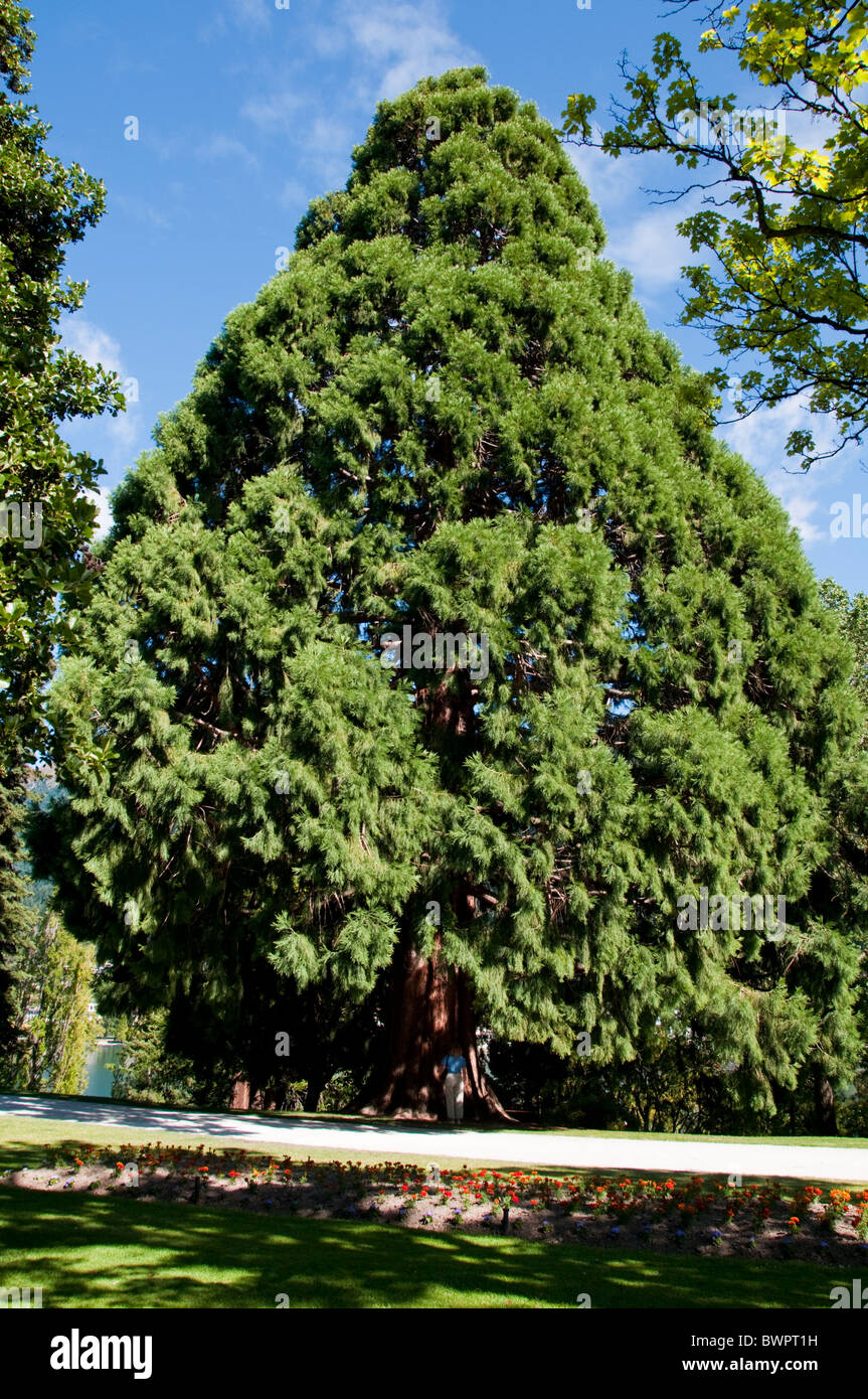 Adventure capital world queenstown hi-res stock photography and images ...