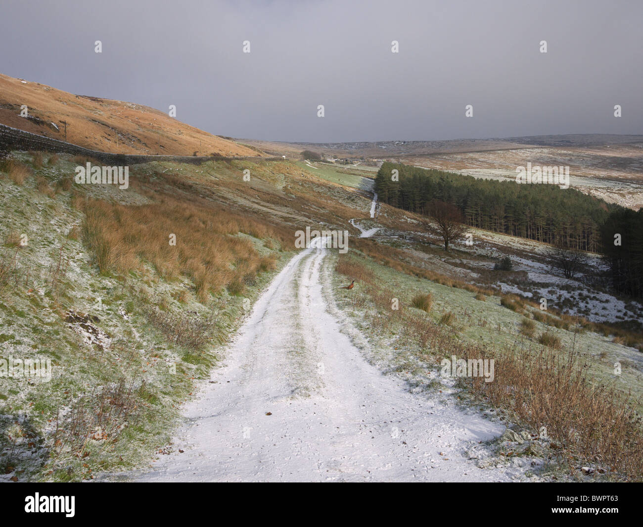 Snowy Farm Track, Saddleworth Moors, Oldham England, UK Stock Photo - Alamy