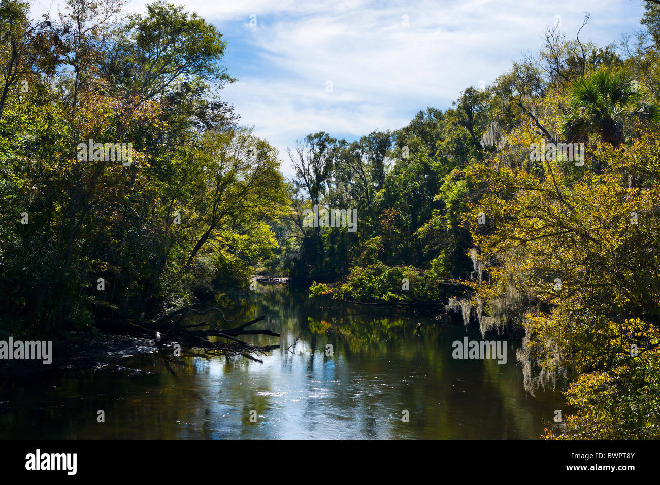 The Aucilla River from US98 near Perry in Northern Florida, USA Stock ...