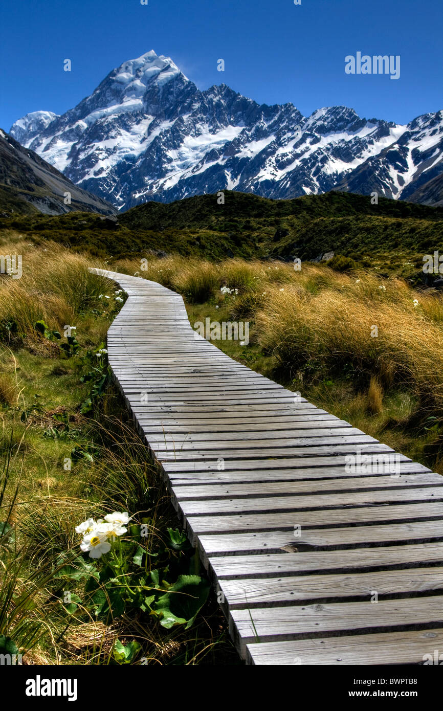 Wooden Path leading to Mount Cook, New Zealand Stock Photo - Alamy