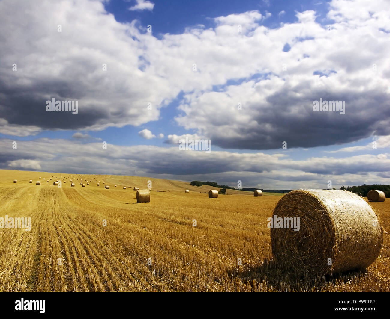 Stubble field landing hi-res stock photography and images - Alamy