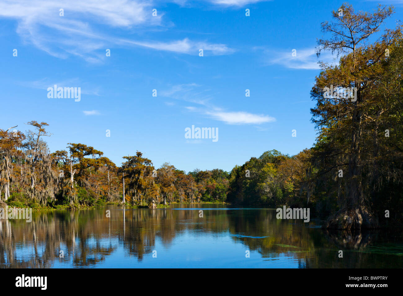 Wakulla spring hi-res stock photography and images - Alamy