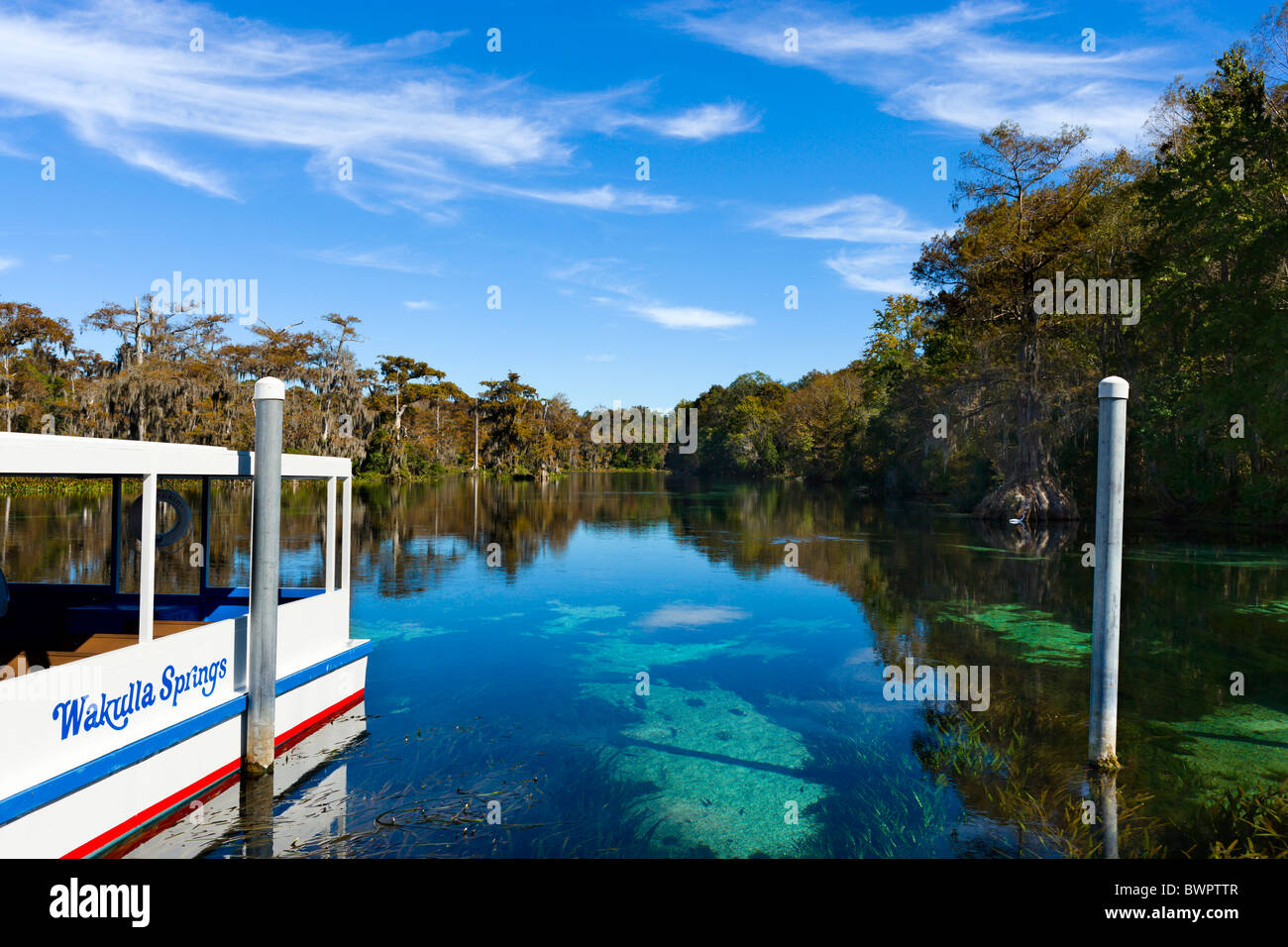 Wakulla spring hi-res stock photography and images - Alamy