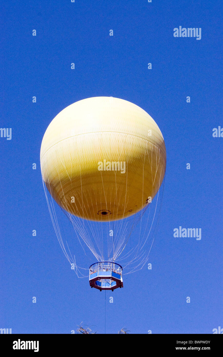 Moored ballon captive Sand Diego Wild Animal Park California USA ...