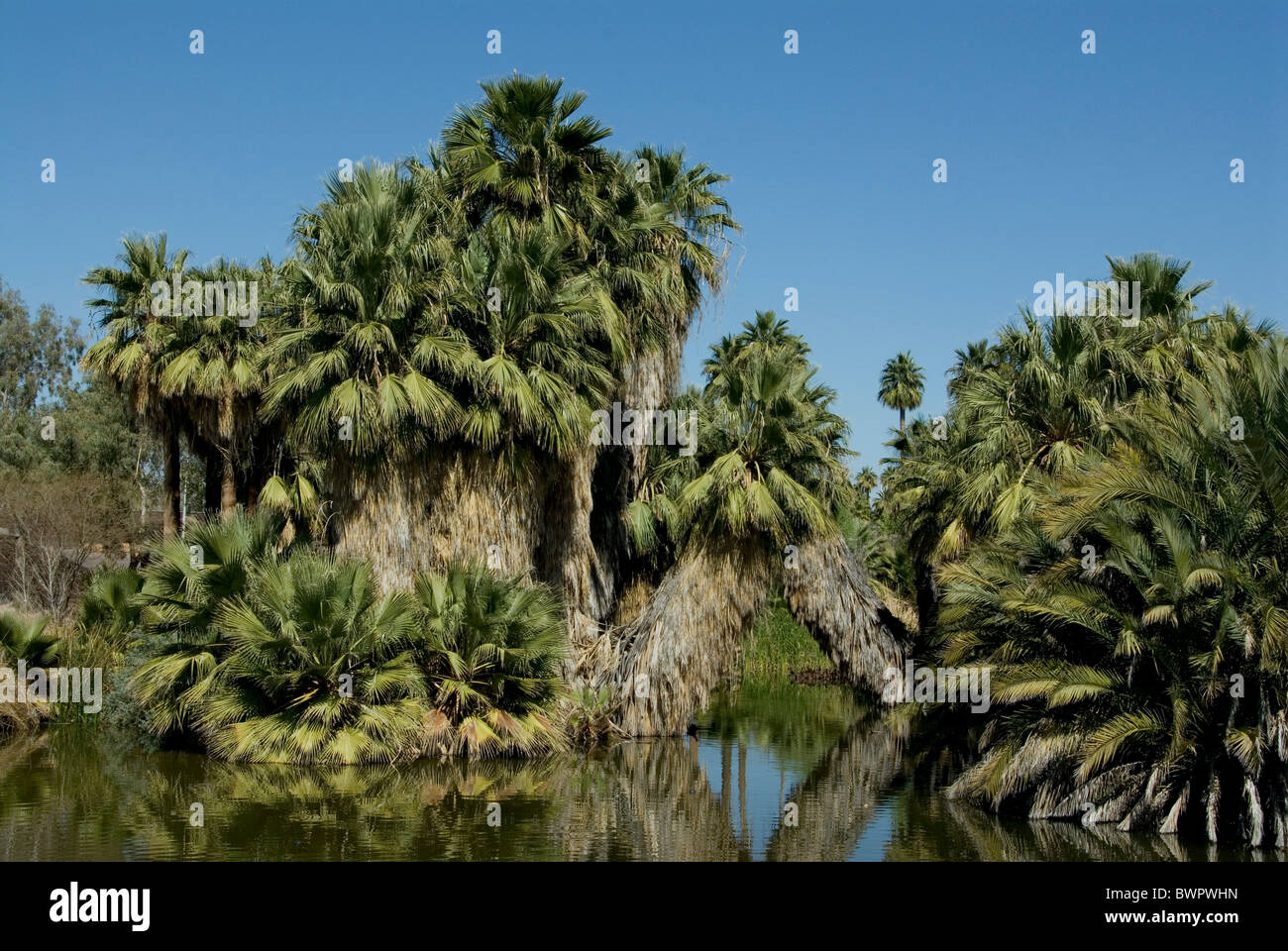 10833137 hi-res stock photography and images - Alamy