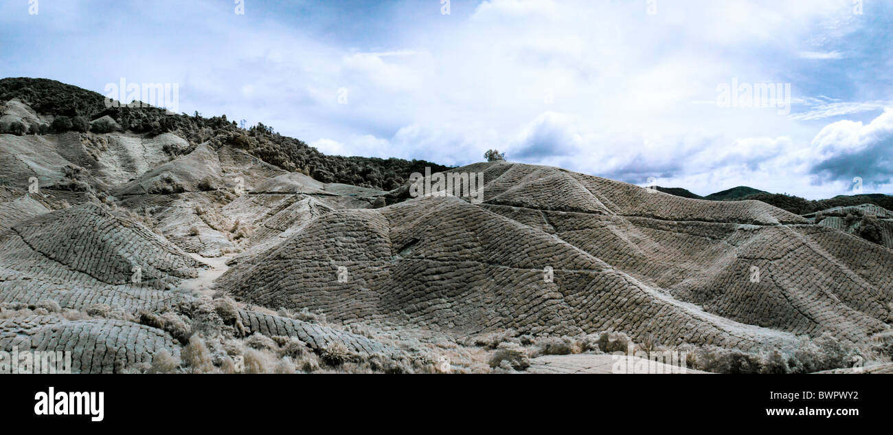 Cameron Highlands landscape Stock Photo - Alamy