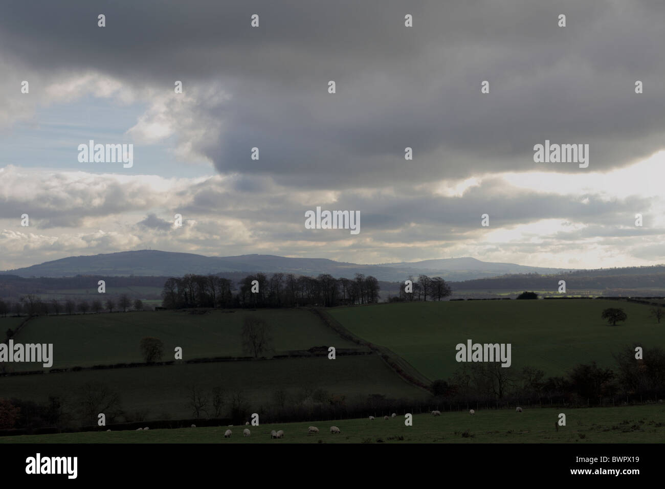 A view across countryside looking towards Wenlock Edge and The Brown ...