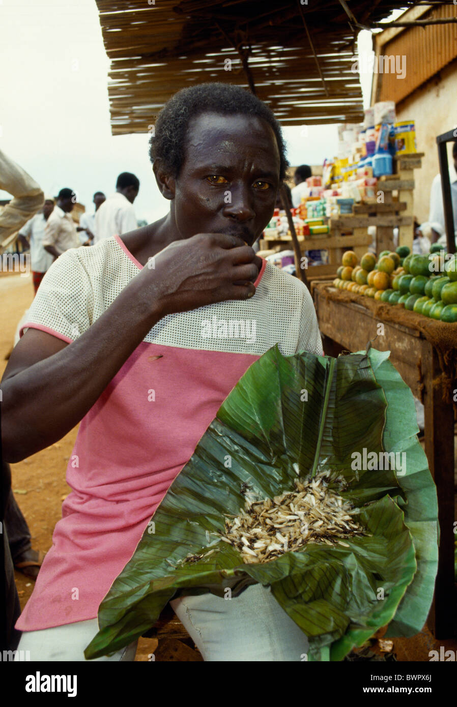 UGANDA East Africa Jinja Man in street market eating live white flying ...