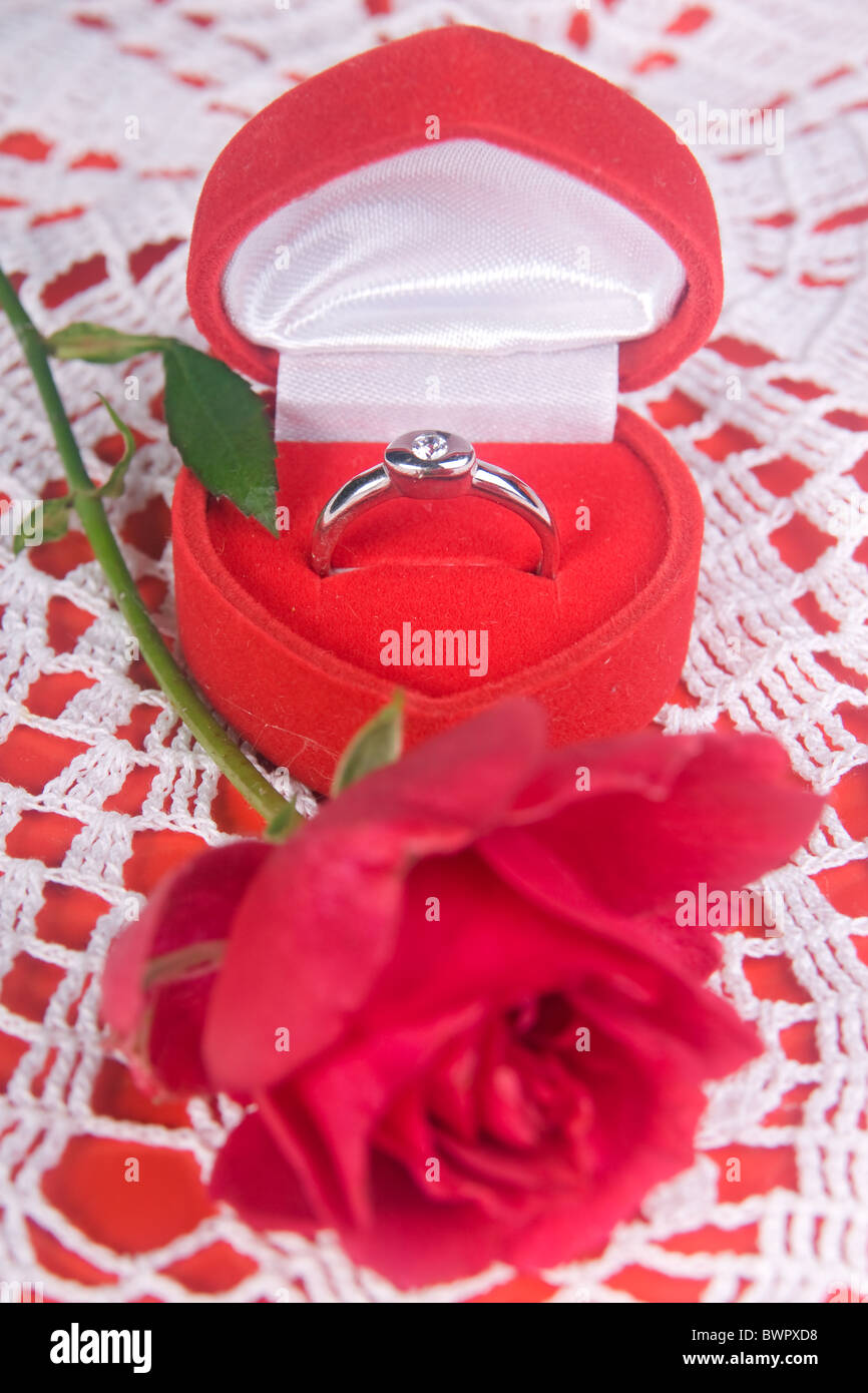 red rose with a ring Stock Photo - Alamy
