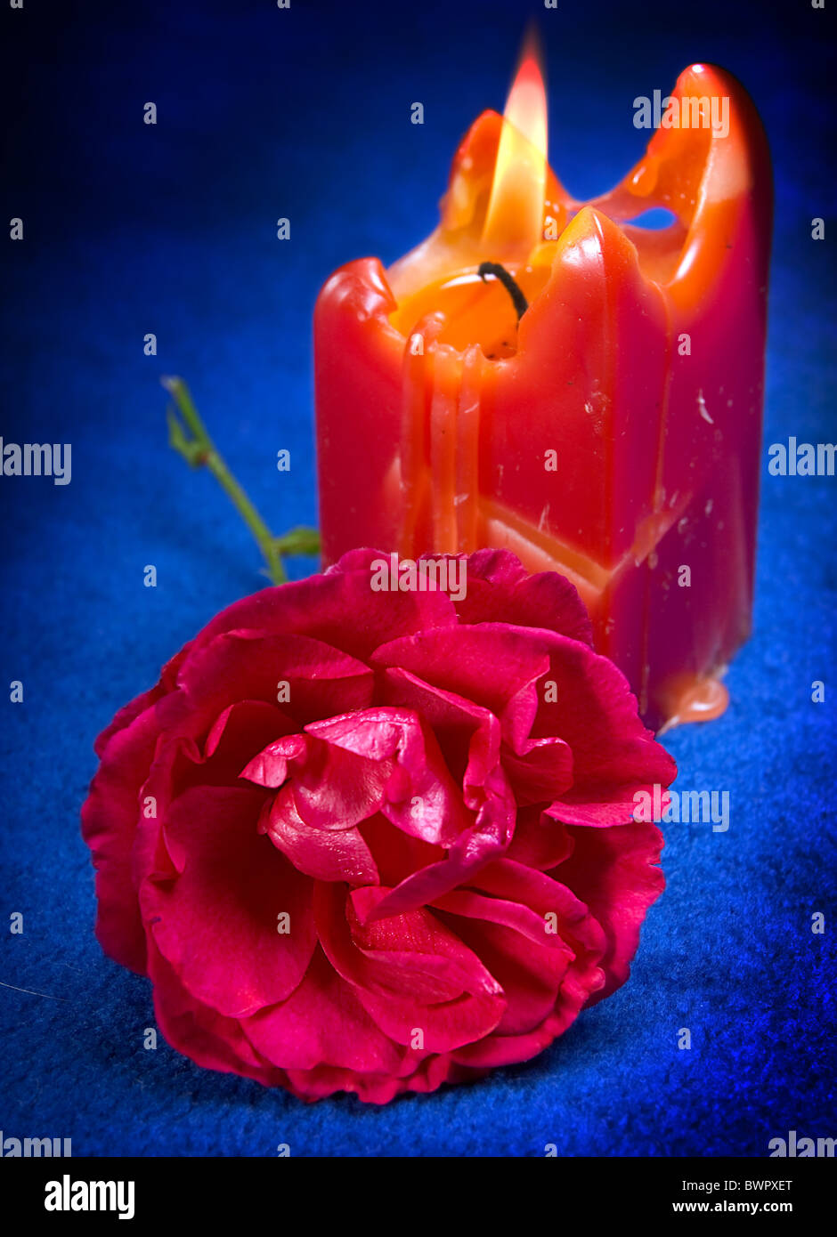 red rose with a candle Stock Photo - Alamy