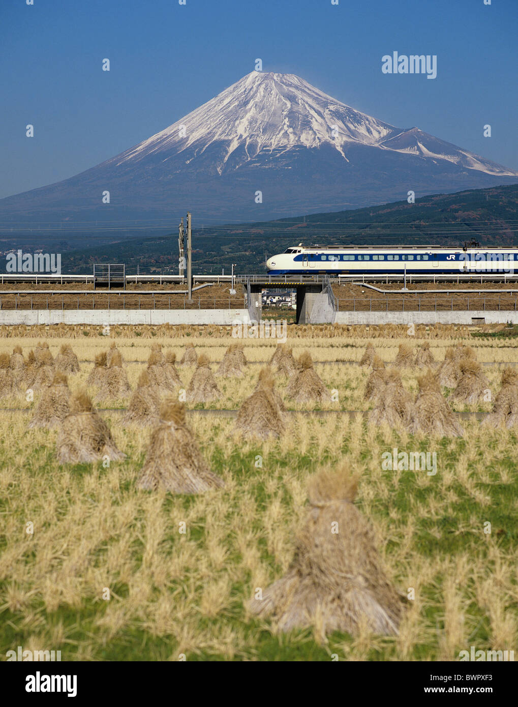 JAPAN Honshu Mount Fuji Shinkansen bullet train passing through rice fields Stock Photo - Alamy