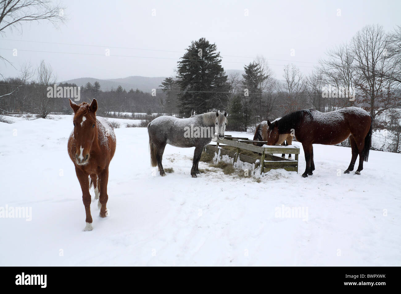 Swanzey new hampshire hi-res stock photography and images - Alamy