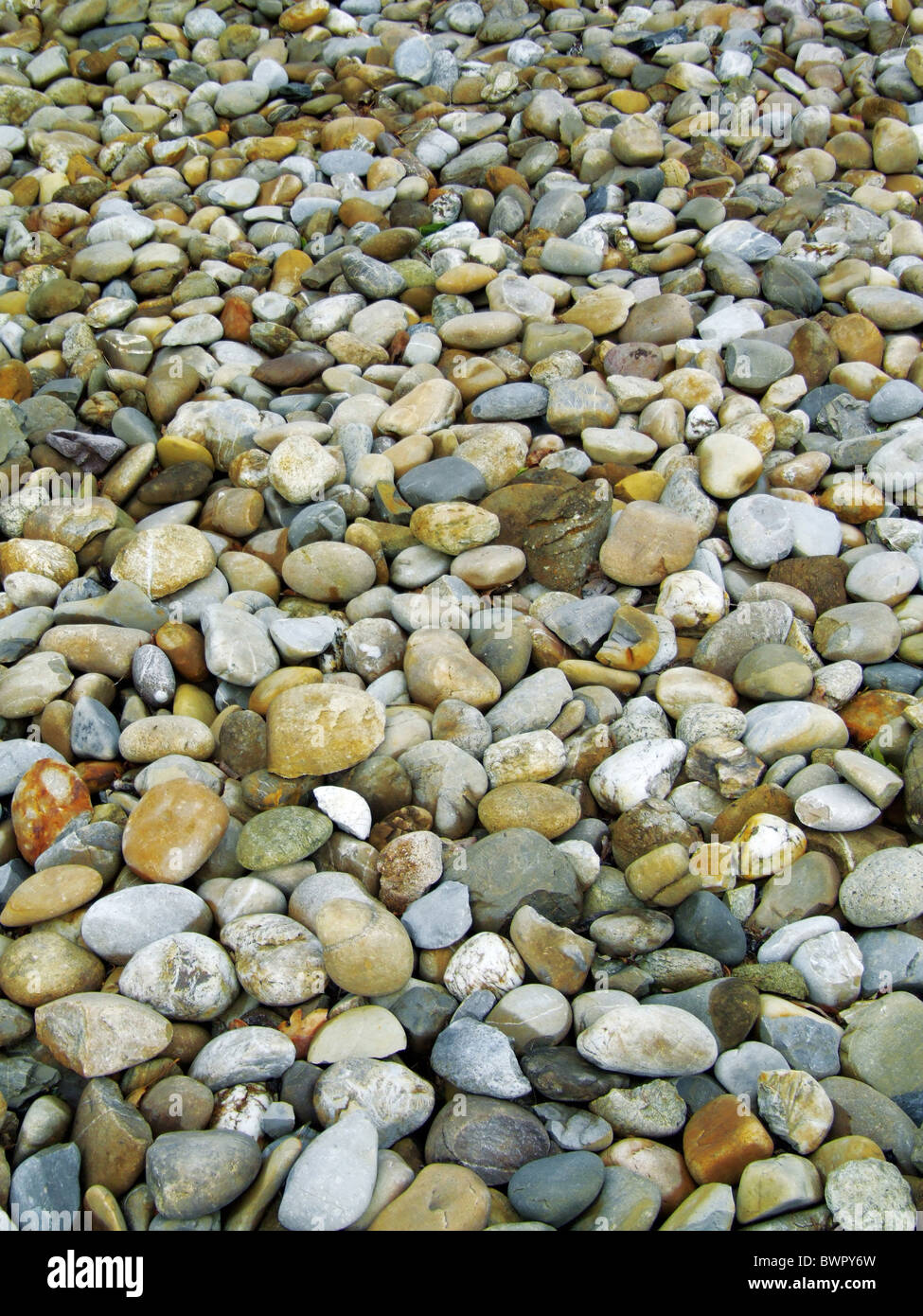 stone stones round different many silence water erosion washed shore ...