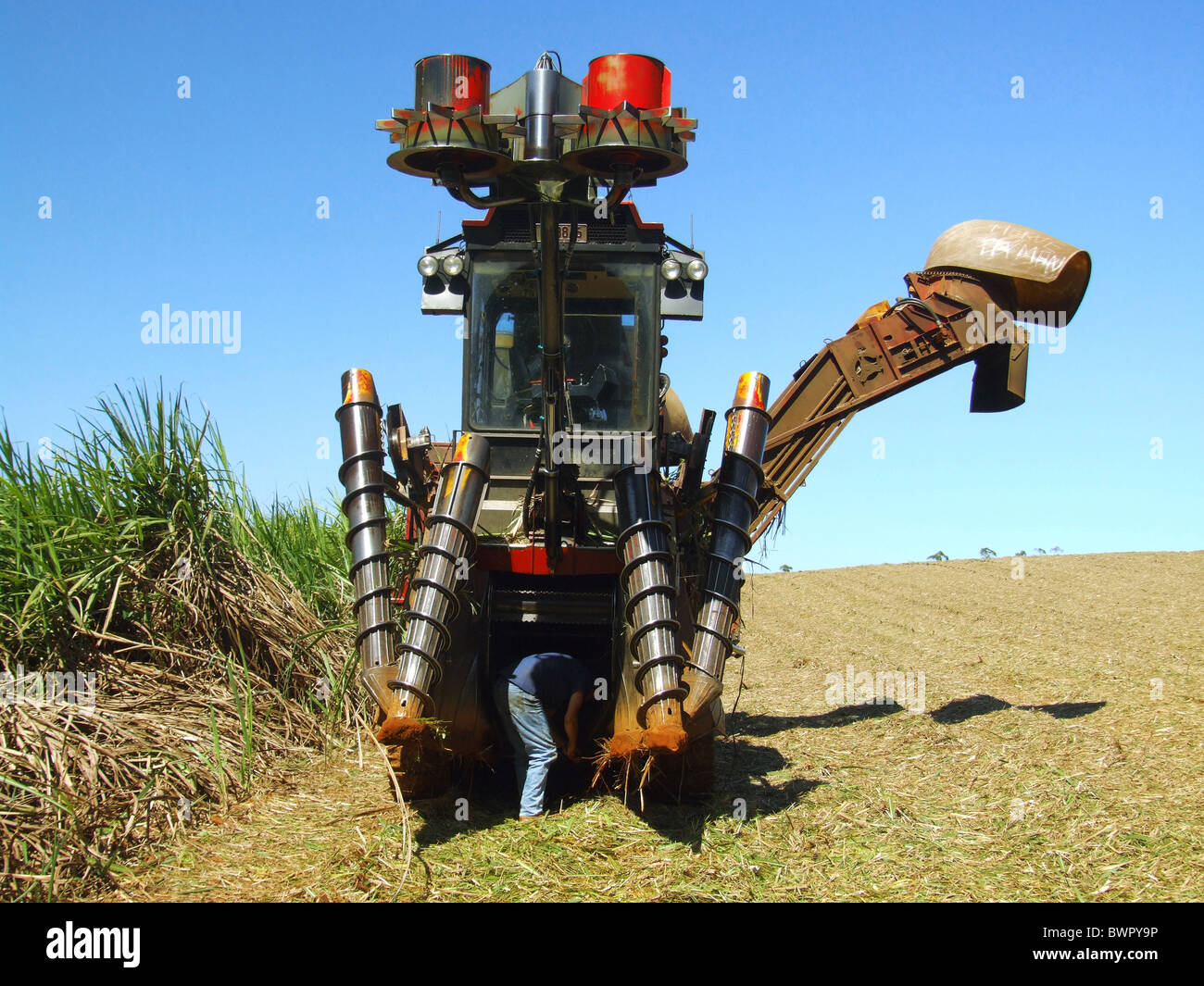 Sugar Cane Harvesting Queensland Australia High Resolution Stock ...