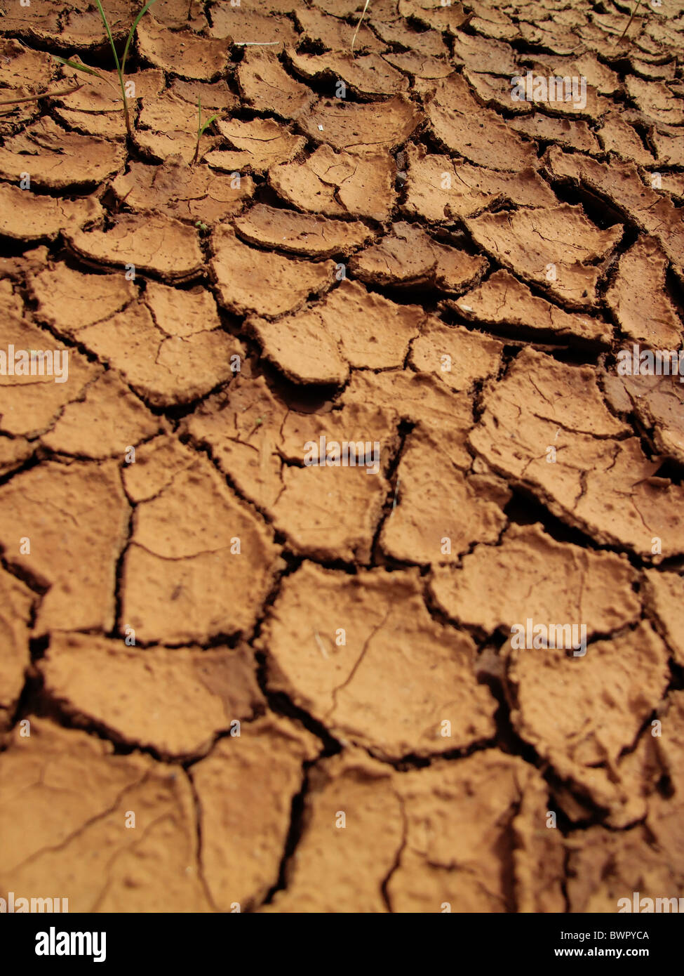 Lean soil hi-res stock photography and images - Alamy