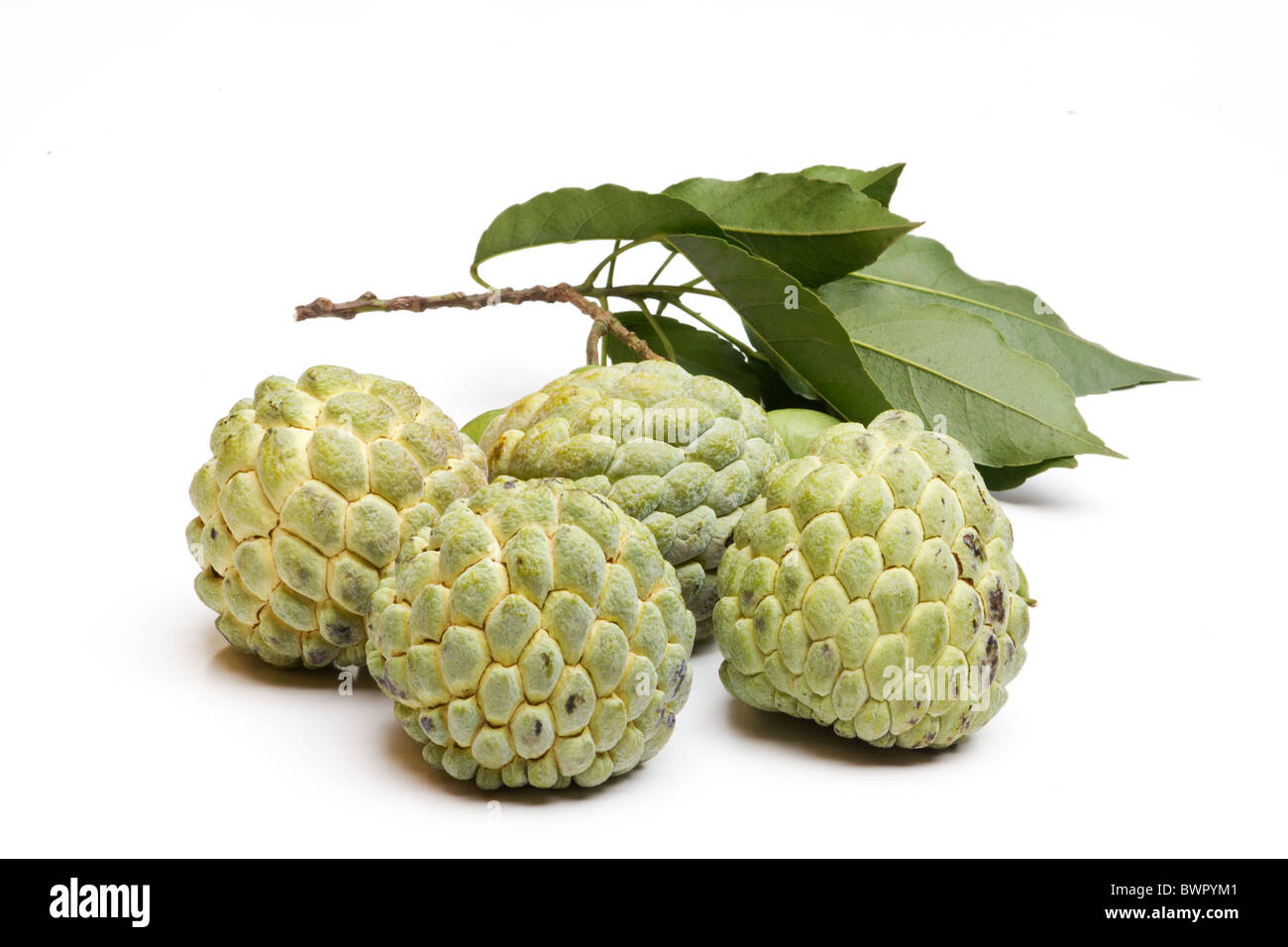 Anona Fruit High Resolution Stock Photography and Images - Alamy