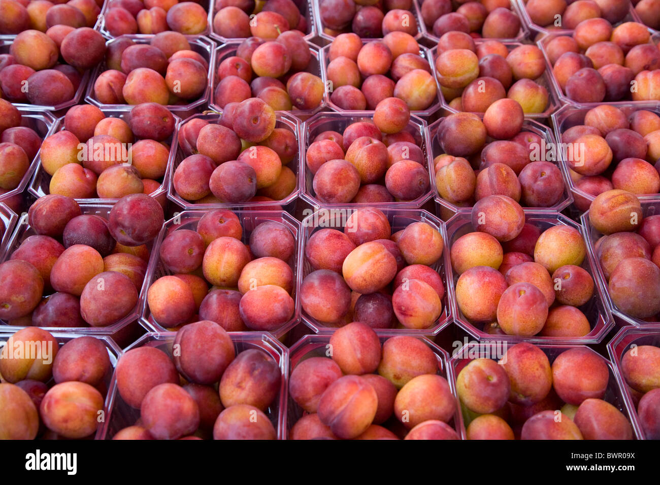 10841233 hi-res stock photography and images - Alamy