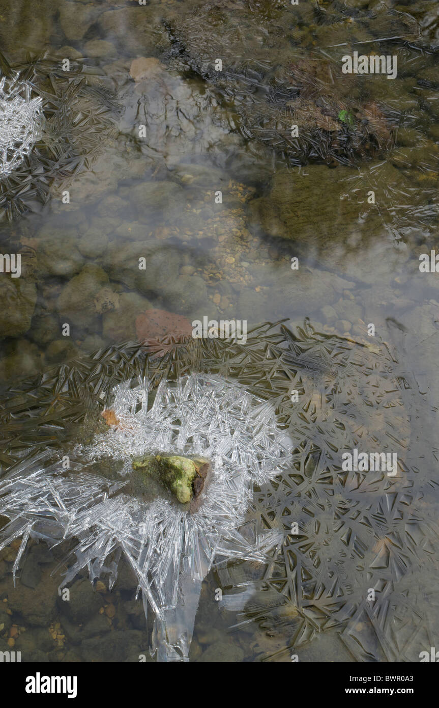 Ice in an English stream Stock Photo - Alamy