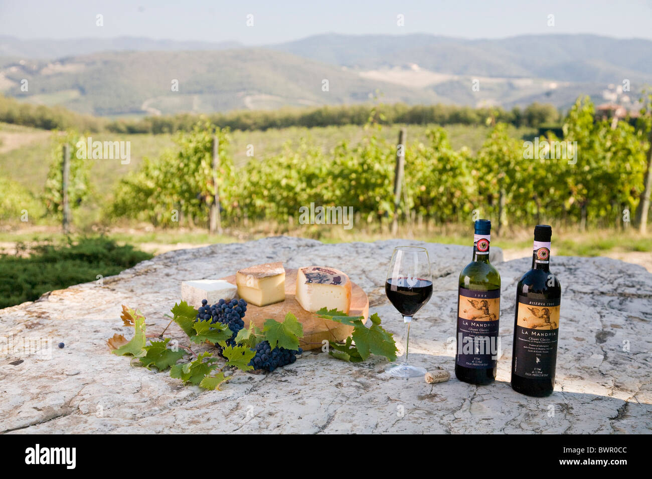 Italy Europe Tuscany Toscana winery La Mandria at Radda in Chianti ...