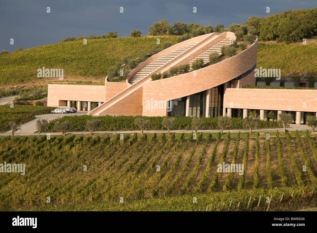 Italy Europe Tuscany Toscana Suvereto-San Lorenzo PETRA winery Vittorio ...